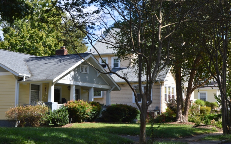 Why Mature Trees In Winston-Salem’s Historic Neighborhoods Need ...