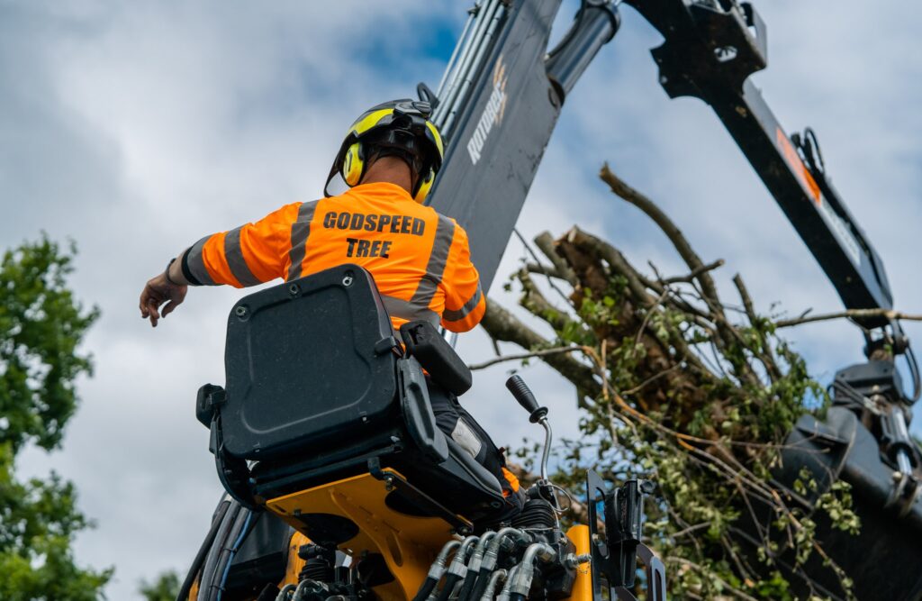 Winston-Salem Tree Service - Godspeed Tree Service, Inc.